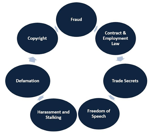 Cyber Law – Science & Technology Notes