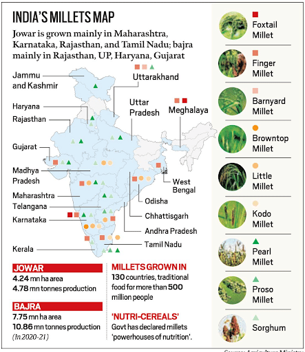 Climate Change Has Transformed Pearl Millet Cultivation Zones In India