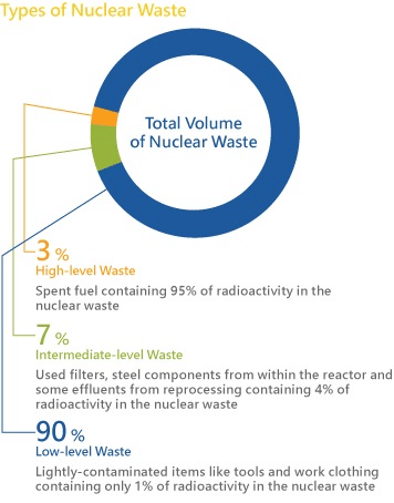 What To Do With Spent Nuclear Fuel?