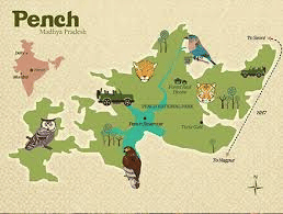 Pench Tiger Reserve: Overview & Recent Incident