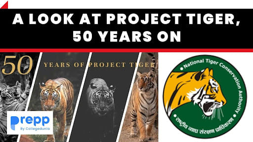 A Look At Project Tiger, 50 Years On