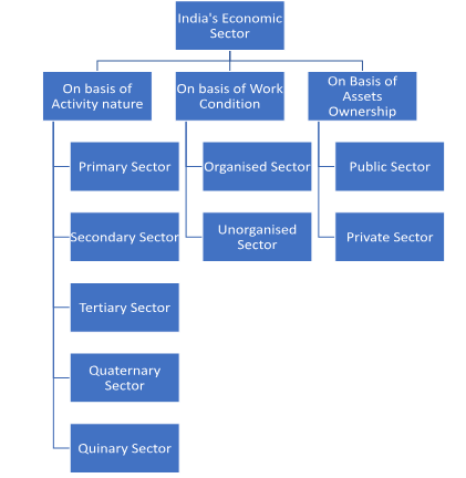 Sectors of Indian Economy – Indian Economy Notes