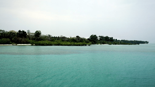 UNHCR Thanks India For Taking Care Of 142 Rohingyas Intercepted In Andaman