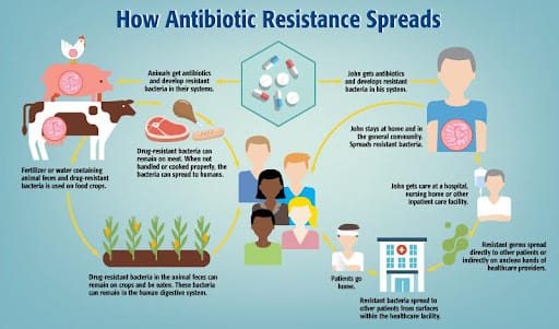 Anti-Microbial Resistance (AMR) and the Red Line Campaign – Science ...