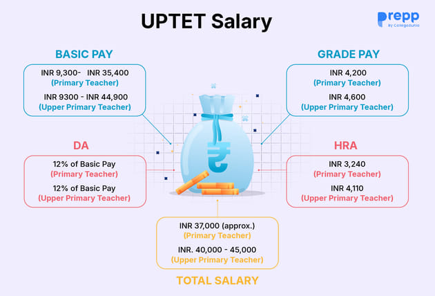 UPTET 2025 Notification; Application Process, Exam Dates, Syllabus