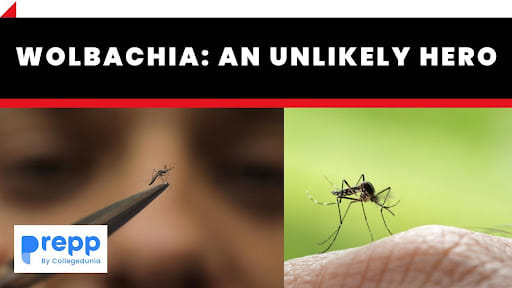 Wolbachia: An Unlikely Hero