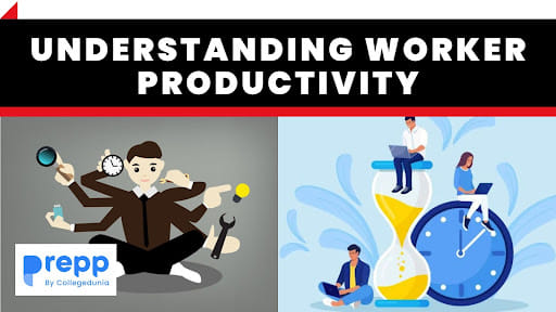 Understanding Worker Productivity
