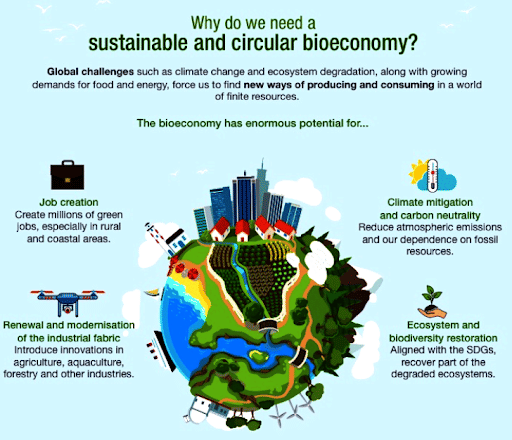 Moving Away From The ‘Take-Make-Dispose’ Model