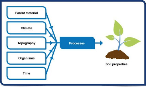 Soil Formation Processes - Geography notes