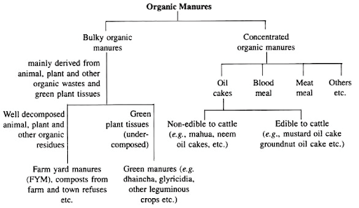 Classification of Organic Manures - Agriculture Notes