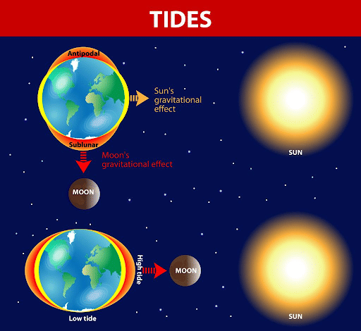Formation of Tides - Geography Notes