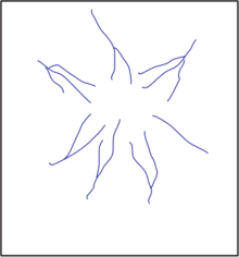 Radial Drainage Pattern - Geography notes