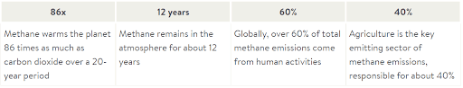 Methane as Greenhouse Gas - Environment Notes
