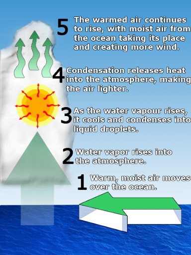 Cyclones - Geography Notes