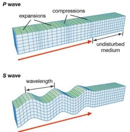 Body Waves - Seismic Activity - Geography Notes