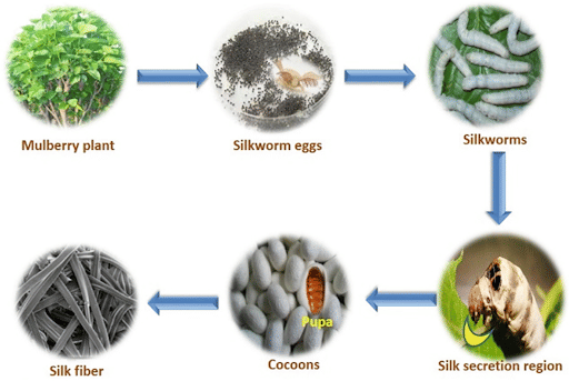 Silk Industries - Geography Notes