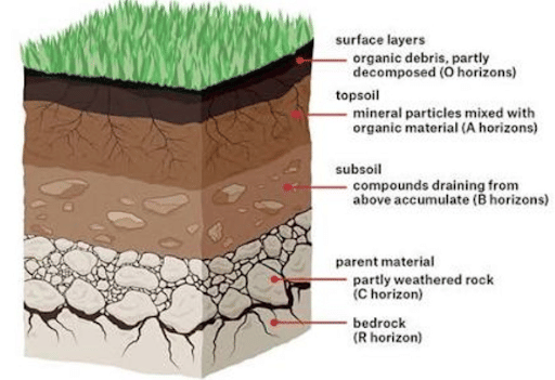 Soil Profile - Agriculture Notes