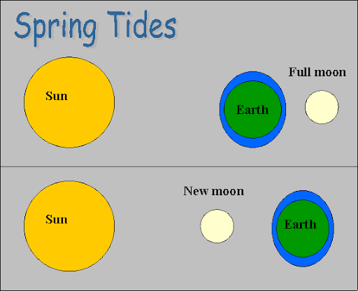 Spring Tide- Geography Notes