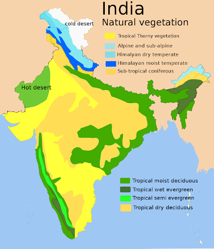 Himalayan Moist Temperate Forest - Environment Notes