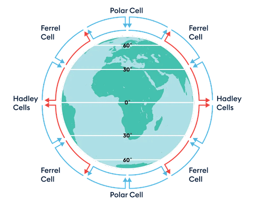 Tricellular Meridional Circulation of the Atmosphere - Geography Notes