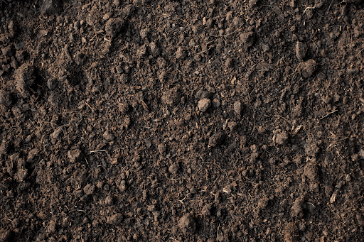 Loam Soil Texture - Agriculture Notes