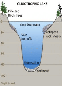 Characteristics of Oligotrophic and Eutrophic Lakes - Environment Notes