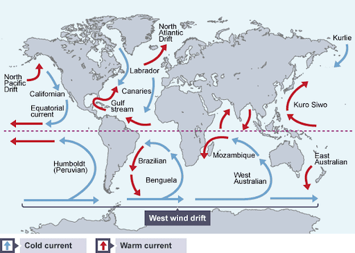 Warm Currents - Types of Ocean Currents - Geography Notes