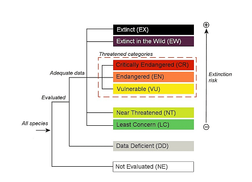 IUCN Classification - Environment Notes IUCN Classification - Environment Notes
