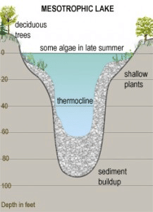 Ageing of Lakes - Environment Notes