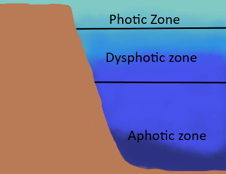 Aphotic Zone - Factors Limiting the Productivity of Aquatic Habitats ...