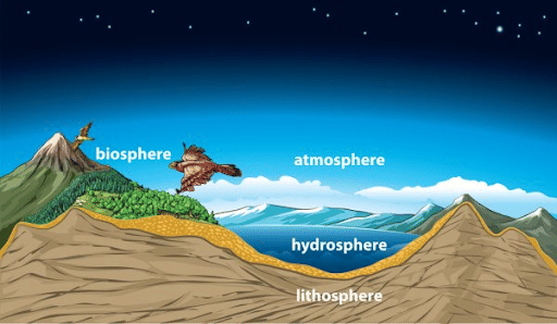 Ecology - Environment Notes