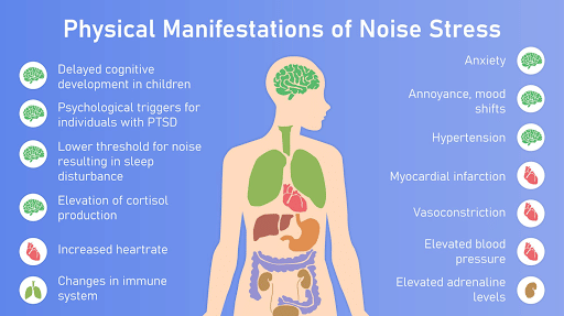 Impact of Noise Pollution - Environment Notes