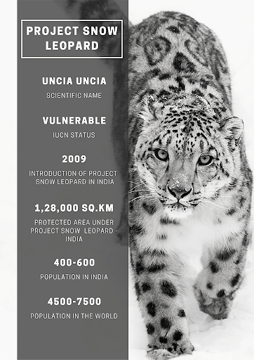 Project Snow Leopard - Environment Notes