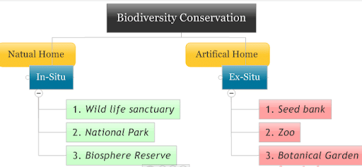 Biodiversity Conservation - Environment Notes