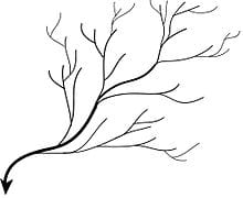 Dendritic Drainage Pattern - Geography Notes