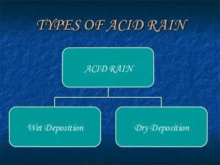Types of Acid Deposition - Environment Notes