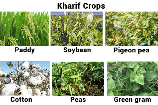 Kharif - Agriculture Notes