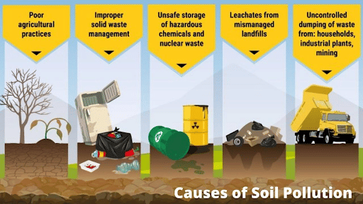 Causes of Soil Pollution-Environment Notes