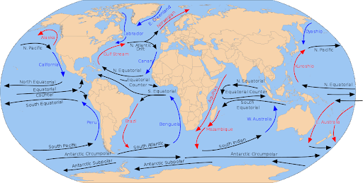 Equatorial Countercurrent - Oceanic Currents - Geography Notes