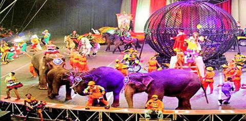Indian Circus - Art and Culture Notes