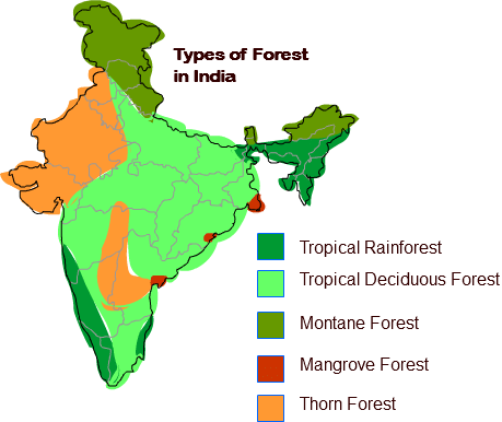 Tropical Thorn Forests - Environment Notes