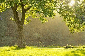 Forms of Precipitation (Snow, Drizzle, Hail, Small Hail, Sleet ...