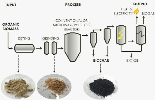 Biomass - Environment Notes
