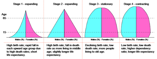 Age Structure - Geography Notes