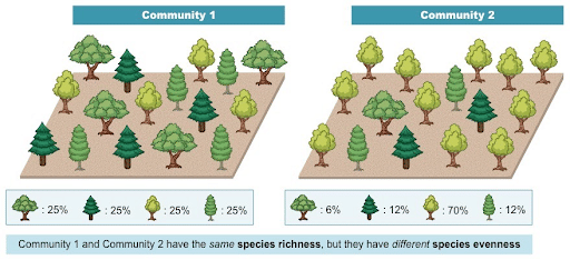 Species Evenness - Environment Notes