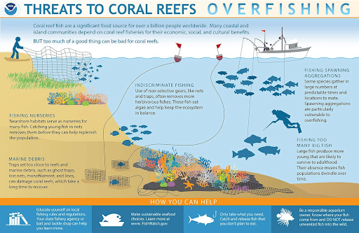 Threats to Coral Reefs - Environment Notes