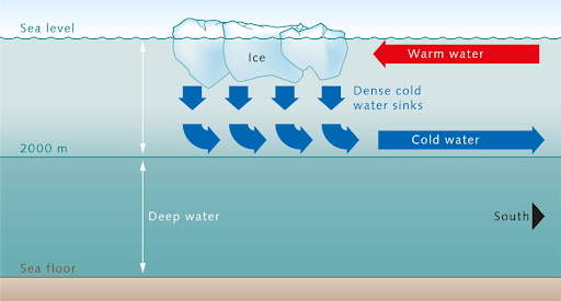 Temperature and Density of Oceanic Water - Geography Notes