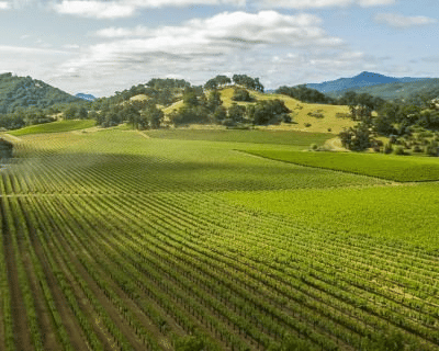 Mediterranean Climate - Geography Notes