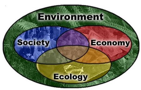 Environmental Ecology - Environment Notes