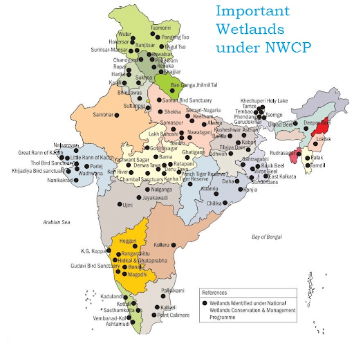 National Wetlands Conservation Programme (NWCP) - Environment Notes